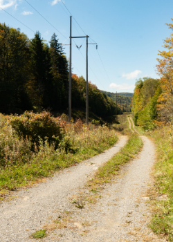 Demystifying Prescriptive Rights